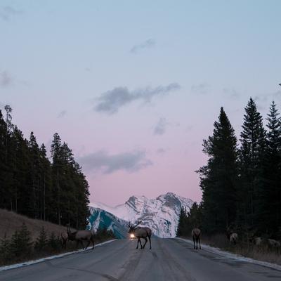 Road Surface - KDE Store