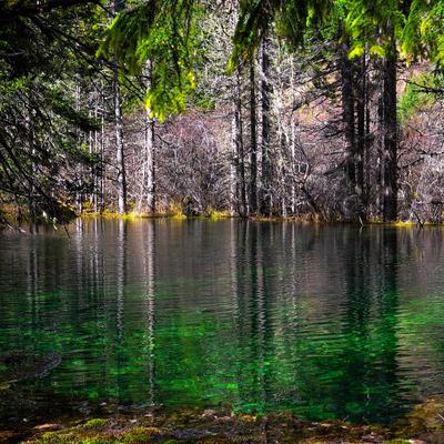 Leaf Full HD - KDE Store