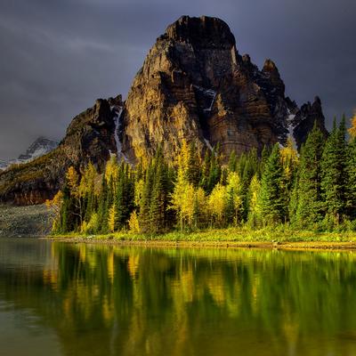 Green Trees Near Lake and Mountain Full HD - KDE Store