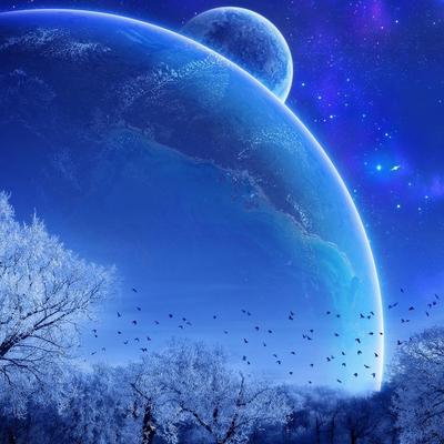 Bare Trees Under Blue Sky With Stars - KDE Store