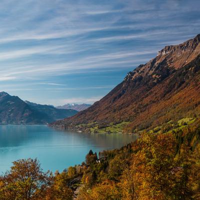 Green and Brown Mountain - KDE Store