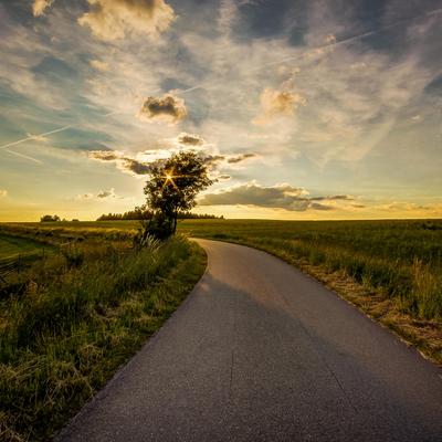 Gray Asphalt Road Between Green Grass - KDE Store