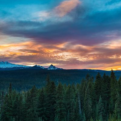 Green Pine Trees Near Mountain - KDE Store
