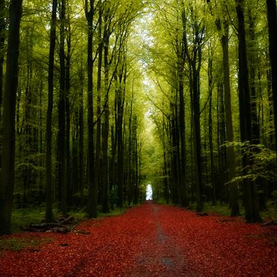 Landscape - KDE Store