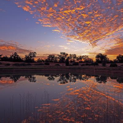 Sunset Full HD - KDE Store