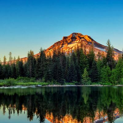 Green Pine Trees Near Lake and Mountain - KDE Store