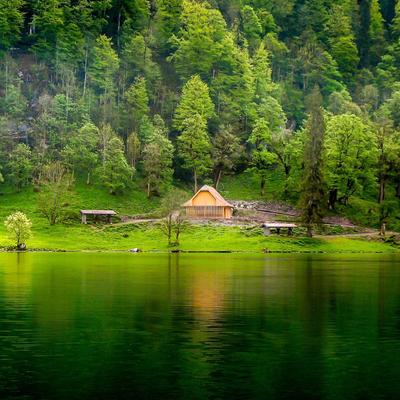 Green Lake Wooden House Pine Forest - KDE Store