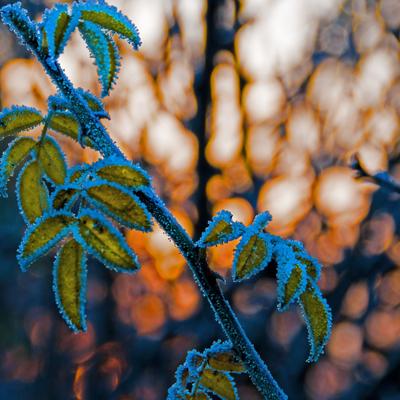 Blue Full HD - KDE Store