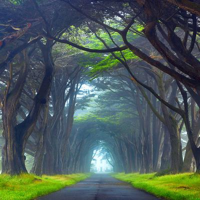 National Seashore California Desktop Wallpaper - KDE Store