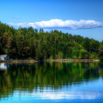 Summer Forest Lake House Wallpaper - KDE Store