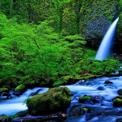 Waterfall And Stream Green Forest - KDE Store