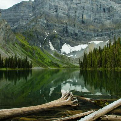 Lake Near Green Trees and Mountain - KDE Store