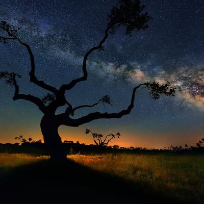 Sunset Full HD - KDE Store