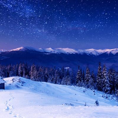 Snow Covered Pine Trees and Mountains - KDE Store