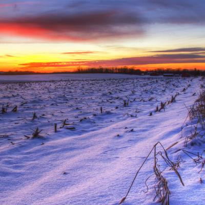Sunset In The Winter - KDE Store