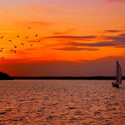 Sunset Sailing Birds Sweden Boat - KDE Store