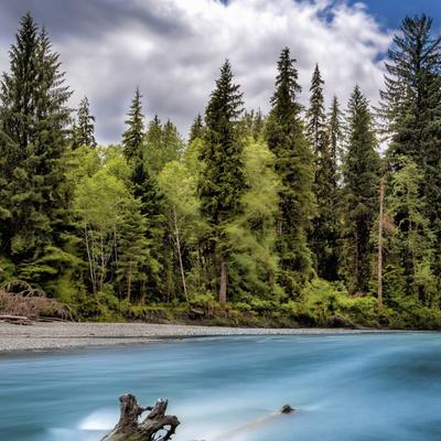 River Hoh In Olympia National Forest - KDE Store