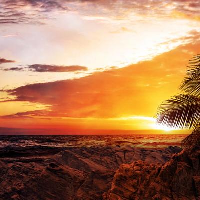 Natural Landscape - KDE Store