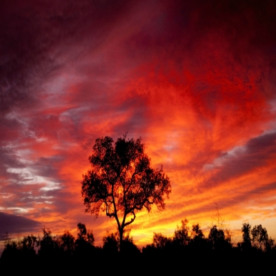 South Africa Savna Sky With Red Cloud Eclipse Sunset - KDE Store