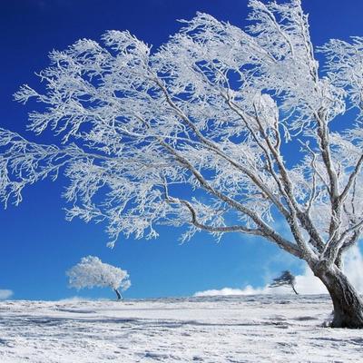Beautiful Background Winter - KDE Store
