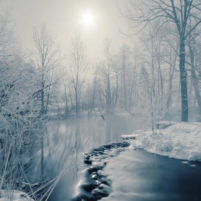 Snow Covered Trees and Road During Daytime Full HD - KDE Store