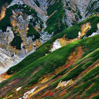 Japan Mountains Tateyama Moss Nature - KDE Store