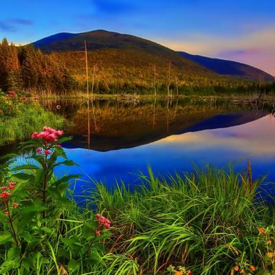 Wallpaper Lake Mountain Forest Flowers - KDE Store