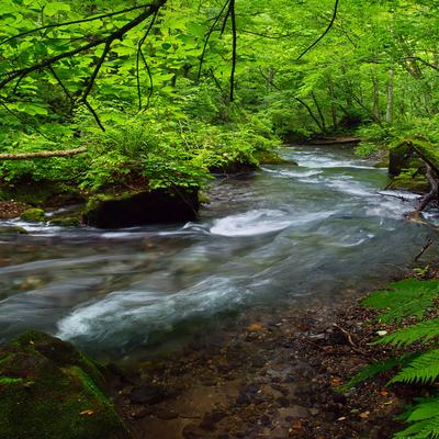 Oirase River - KDE Store