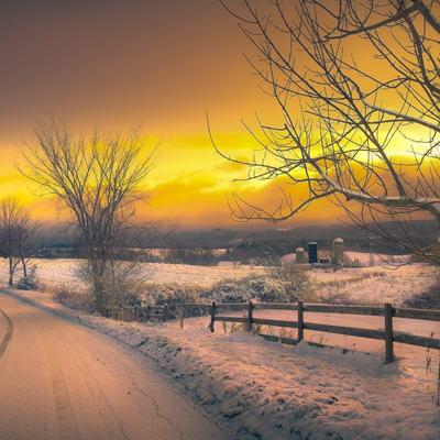 Winter Roads Snow Trees Nature - KDE Store