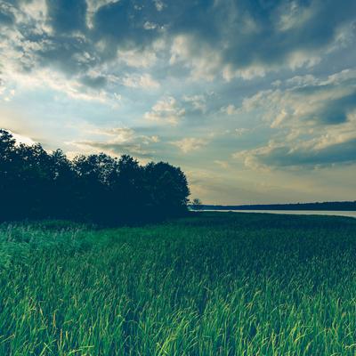 Natural Landscape - KDE Store