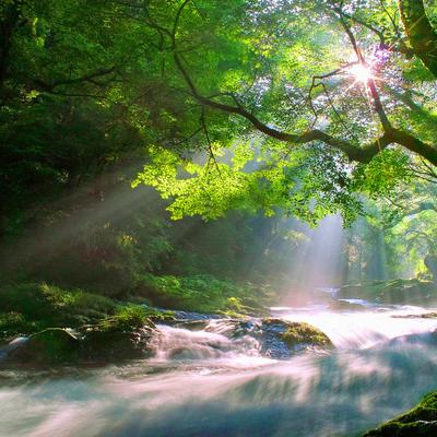 Hd Stream Wallpaper - KDE Store