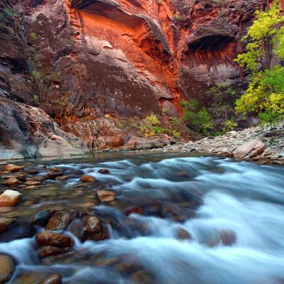 Virgin River Canyon Narrowing In Zion National Park Utah Usa - KDE Store