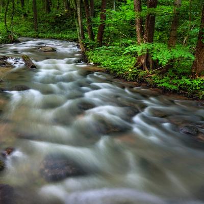 Mountain River Stream Forest Bushes Green Vegetation - KDE Store