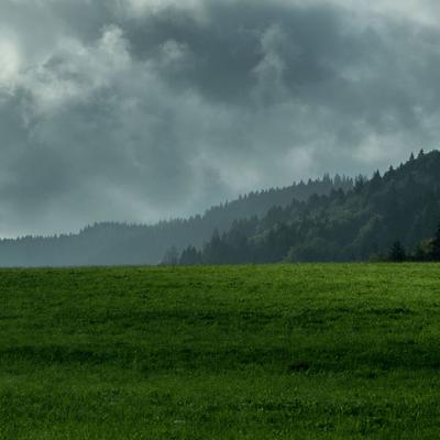 Vegetation Fog Mountainous Landforms Natural Landscape Biome - KDE Store