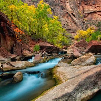River Virgin Canyon Zion National Park Utah Usa Stream With - KDE Store