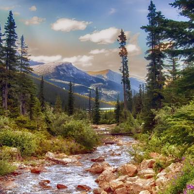 Alaska Landscape Nature Mountain Stream Pine Trees Spring - KDE Store