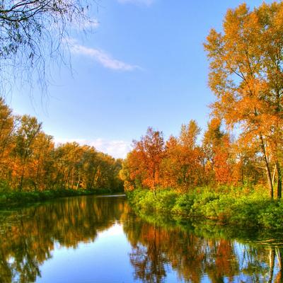 Fall River Tree Background - KDE Store