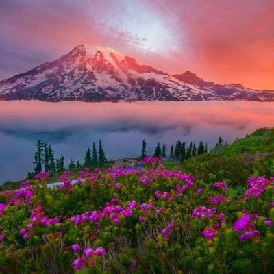 Mountain Landscape Spring Sunset Snowy Mountain Meadow - KDE Store