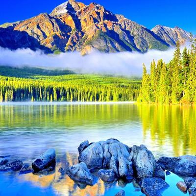 Green Landscape Mountains Green Pine Forest Fog Taggart Lake - KDE Store