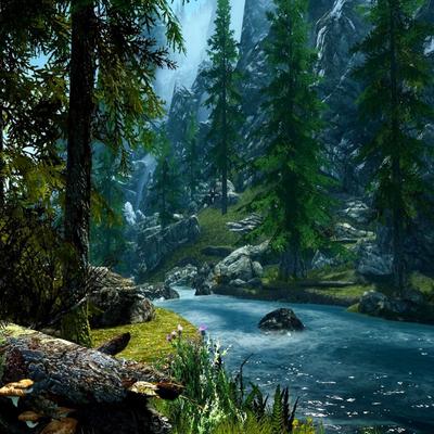Forest River Wallpaper - KDE Store
