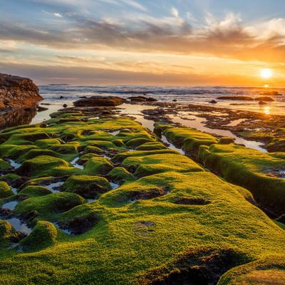 Pacific Ocean Coast Sunset Orange Sky Clouds Green Rock Wave - KDE Store