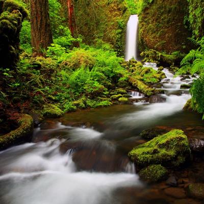 Nature Stream Water - KDE Store