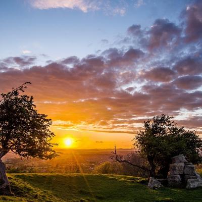 Sunset Trees Landscape - KDE Store