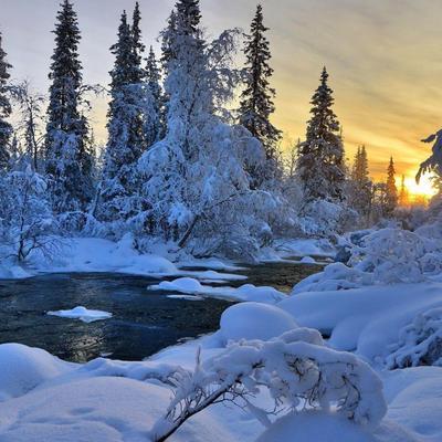 Winter River Nature Trees Landscape Hd Wallpaper - KDE Store
