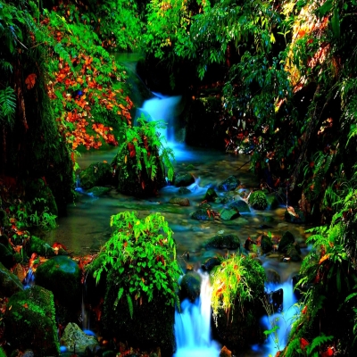 Forest River Falls - KDE Store