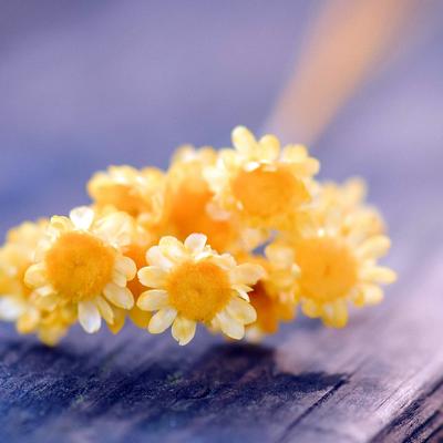 yellow small - KDE Store