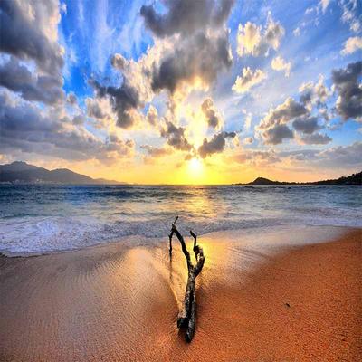 Beach landscape - KDE Store