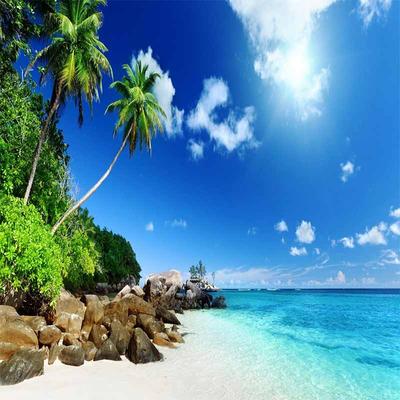 Tropical beach - KDE Store