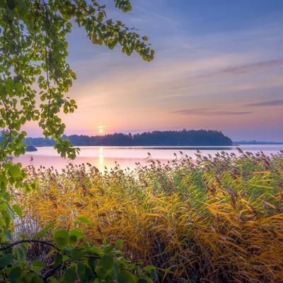 Beauty of Nature sunrays wallpaper - KDE Store