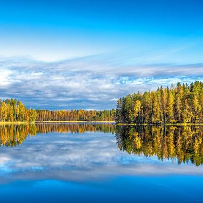 lake reflection pine forest - KDE Store